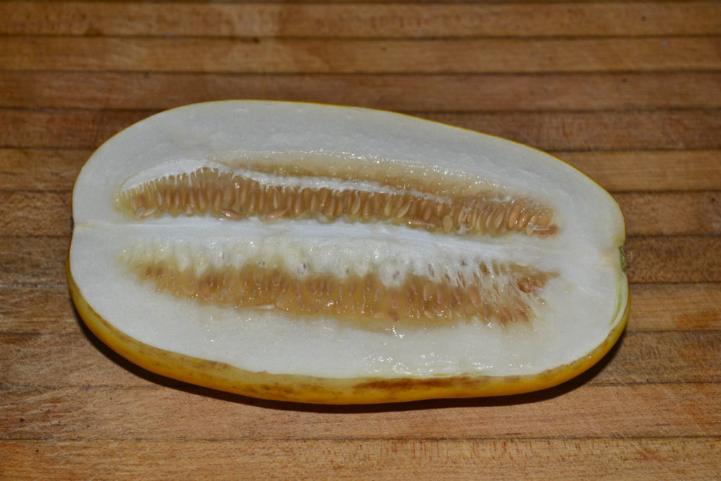 Ingredients 101 – Melon Madness 1 – SaltShaker