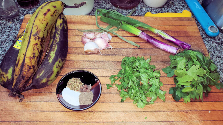 The Bread & Soup Project #51 – Dominican Republic – SaltShaker